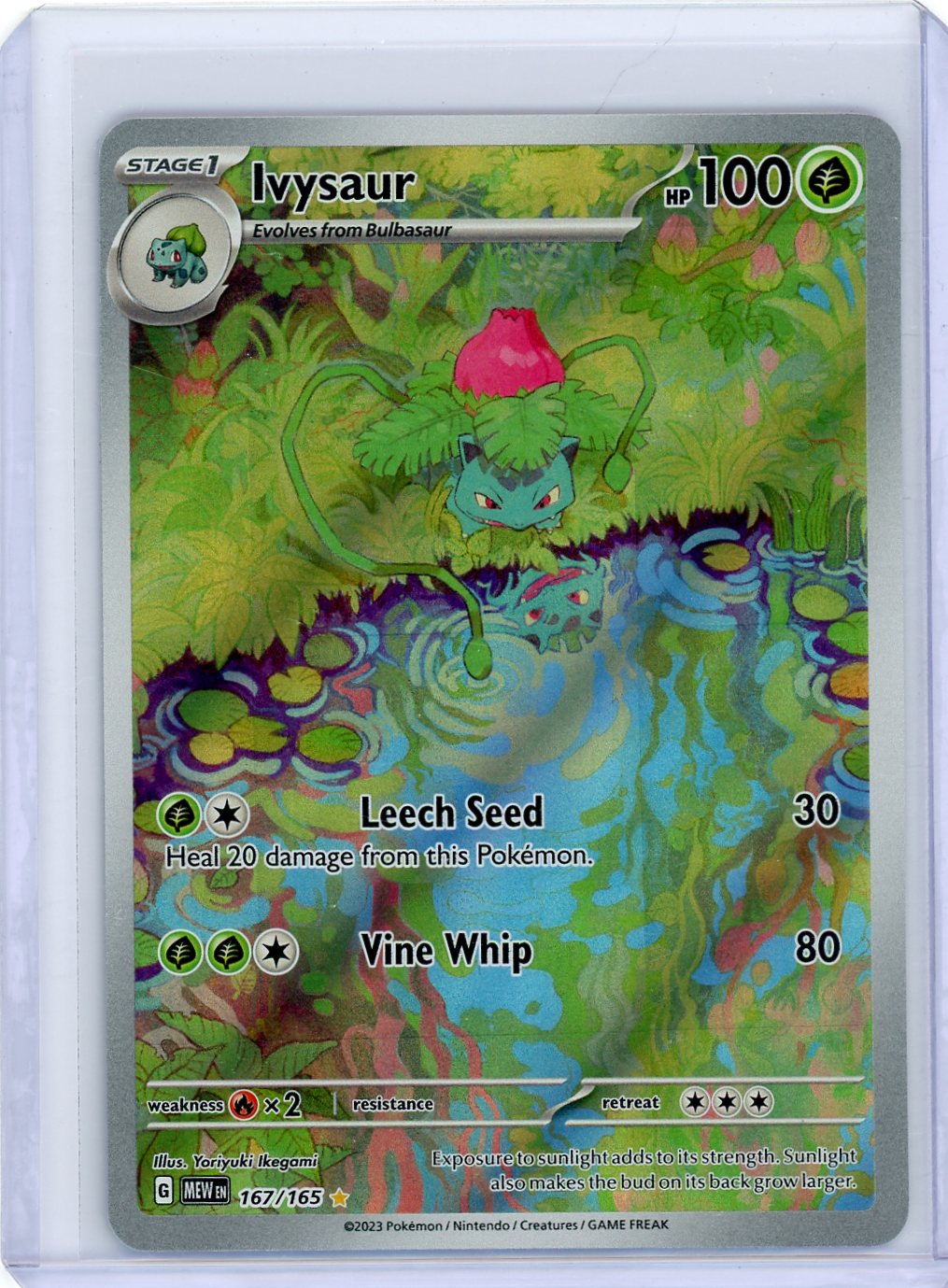 Ivysaur - 167/165 - SV: Scarlet & Violet 151 – Holo Horse Games LLC